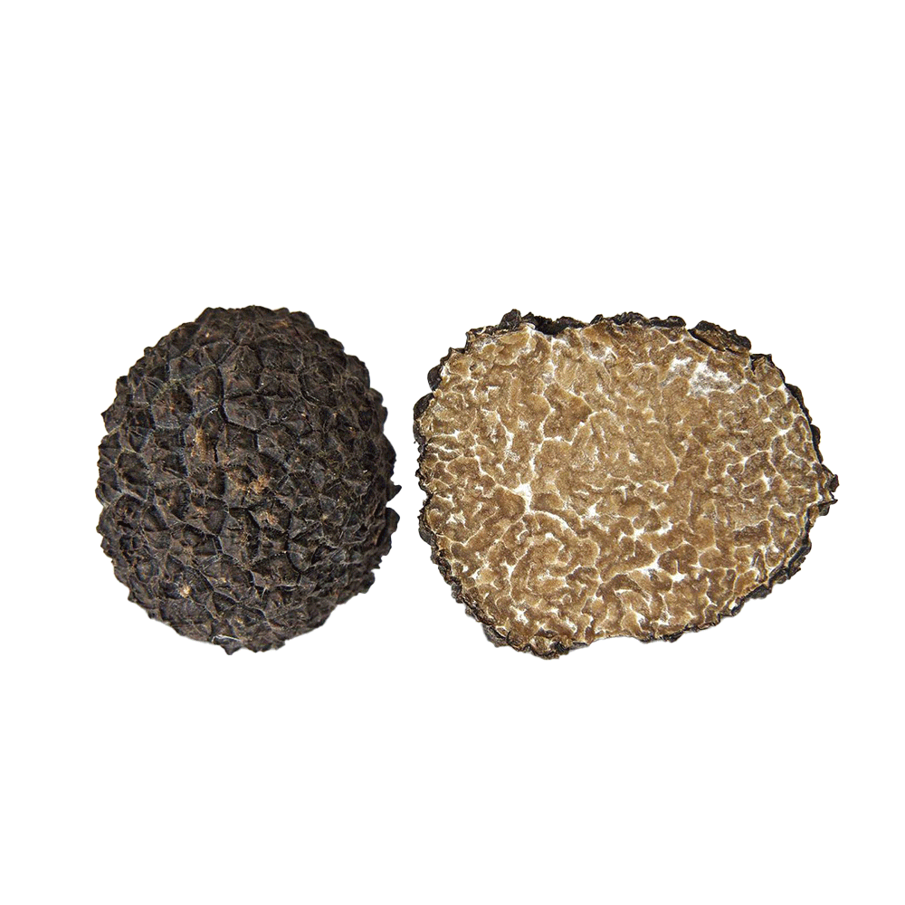Black Summer Truffle | Tuber Aestivum Vittadini | Serbian Truffle ...