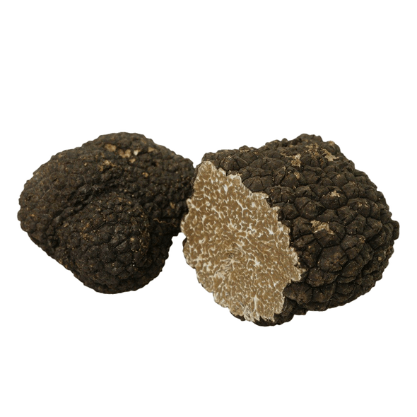 Fresh Truffles – Adria Fine Foods