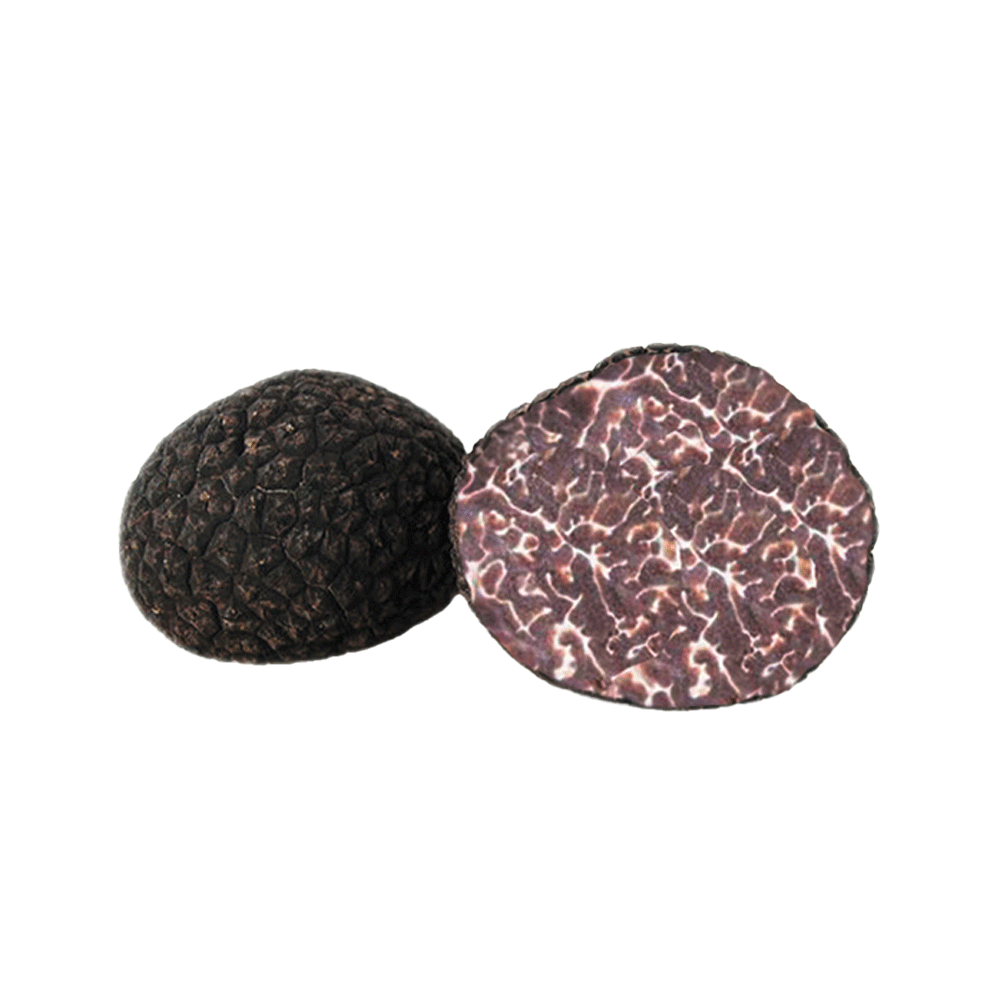 Fresh Black Truffle | Tuber Brumale | Serbian Truffle | Crni Tartuf ...