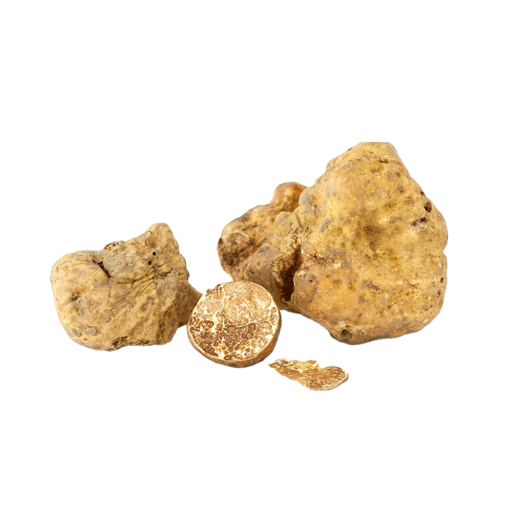 Fresh Truffles – Adria Fine Foods